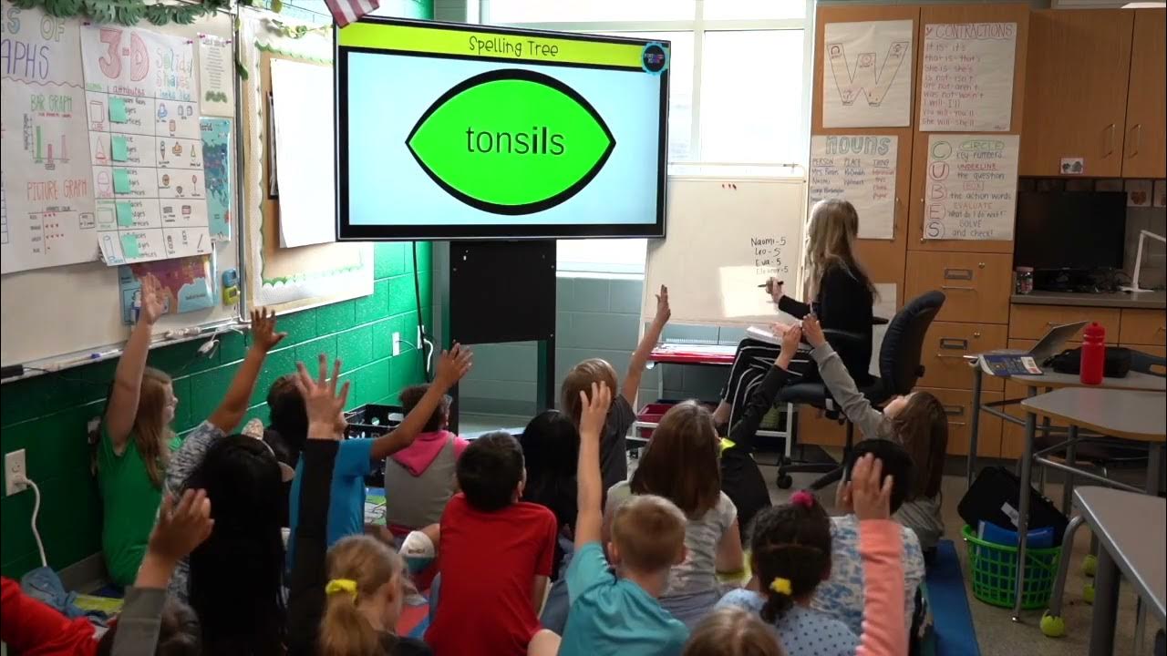 2nd Grade CKLA Skills 5, Lesson 12 - YouTube