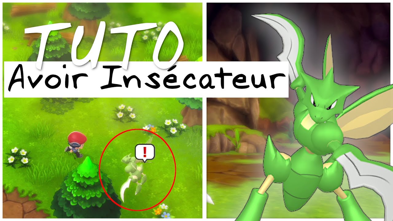 AVOIR INSÉCATEUR DANS POKEMON DIAMANT ÉTINCELANT ( EXCLUSIVITÉ ) | TUTO ...
