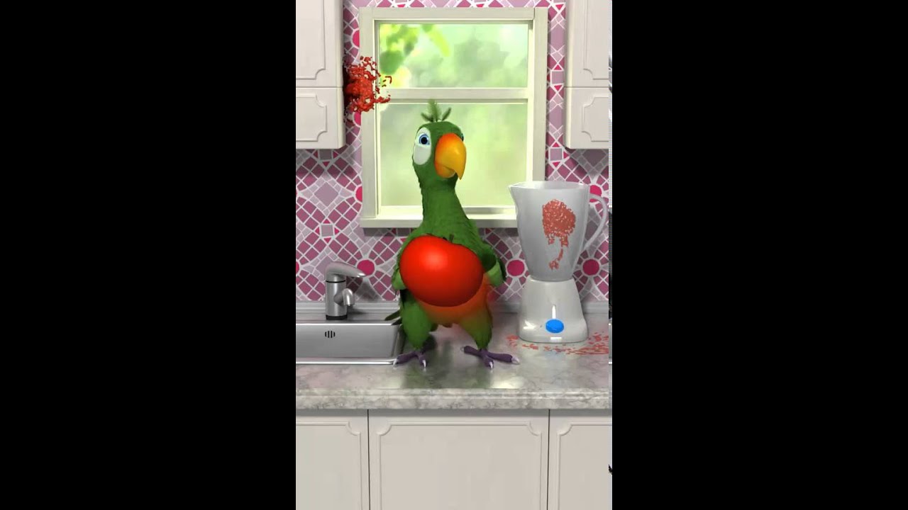 Talking Pierre extraordinary abilities ( must watch) - YouTube