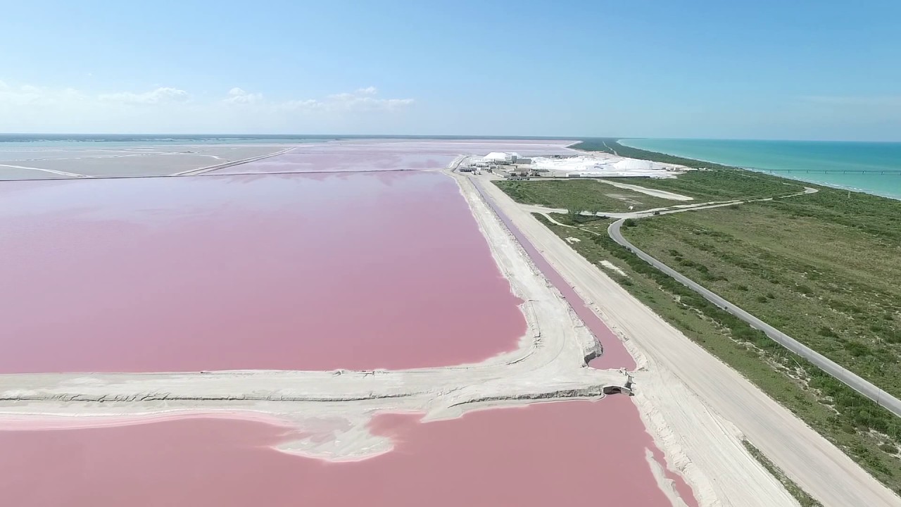 THE WEIRDEST SEA IN THE WORLD - EL MAR MAS RARO DEL MUNDO, Mar Rosa en ...