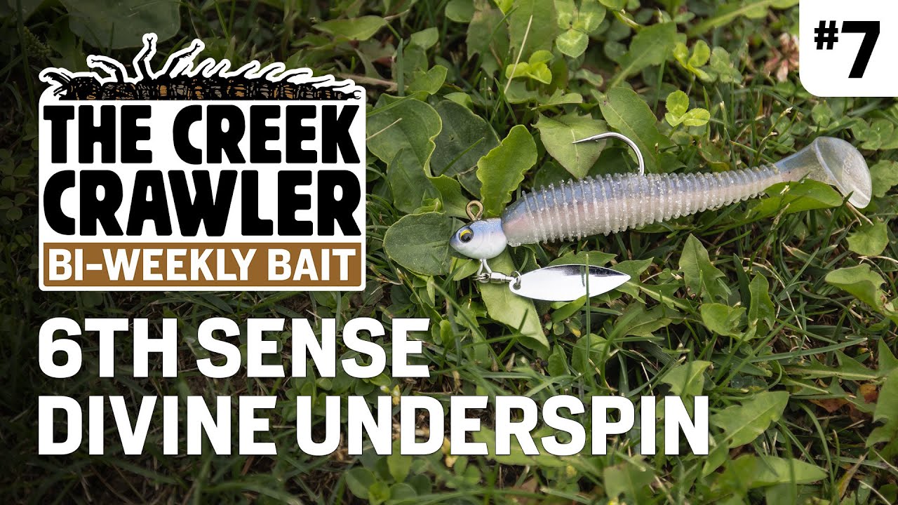 6th Sense Divine Underspin // Creek Crawler's Bi-Weekly Bait # 7 - YouTube