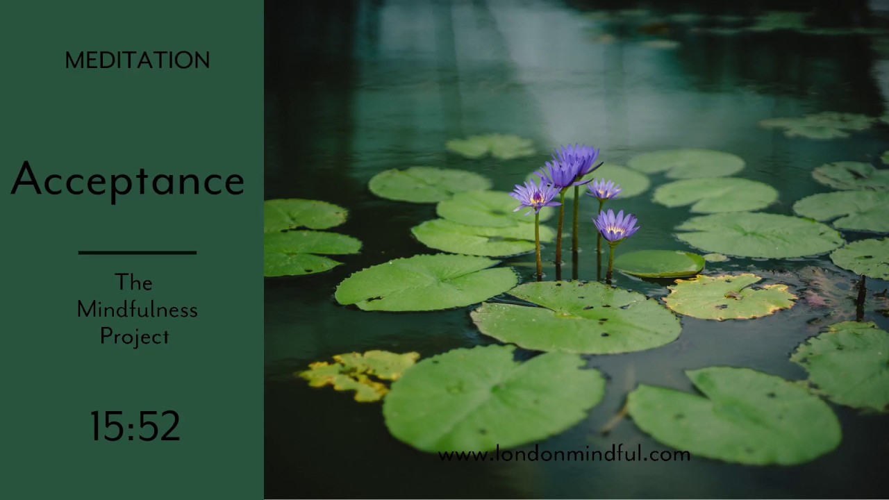 Acceptance I Mindfulness Meditation I The Mindfulness Project - YouTube