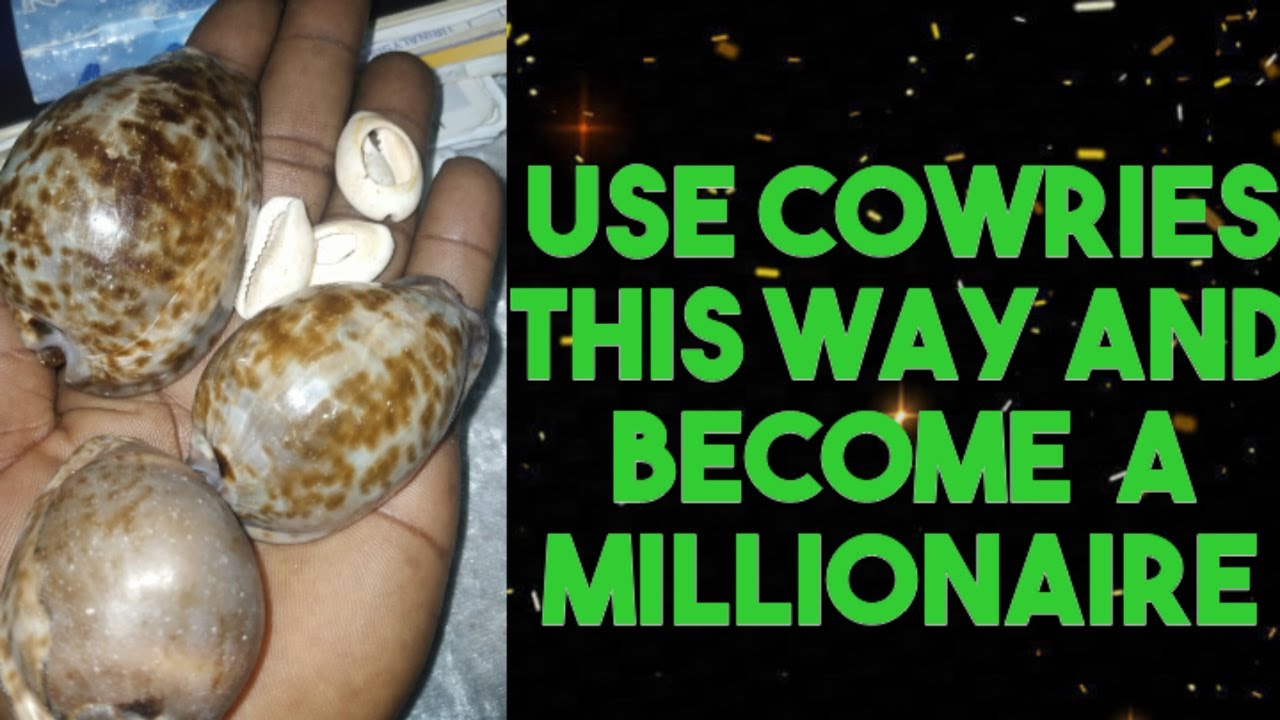 Do This With Cowries This Way and Become A Millionaire# ...