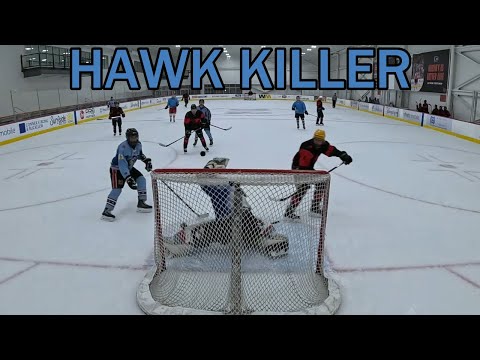 HAWK KILLER... *MIC’D UP* Go Pro Hockey Goalie
