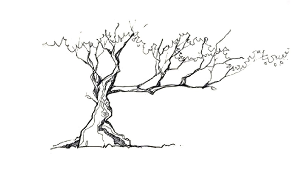 Pen Sketch Tutorial: How to Draw a Tree Trunk - YouTube