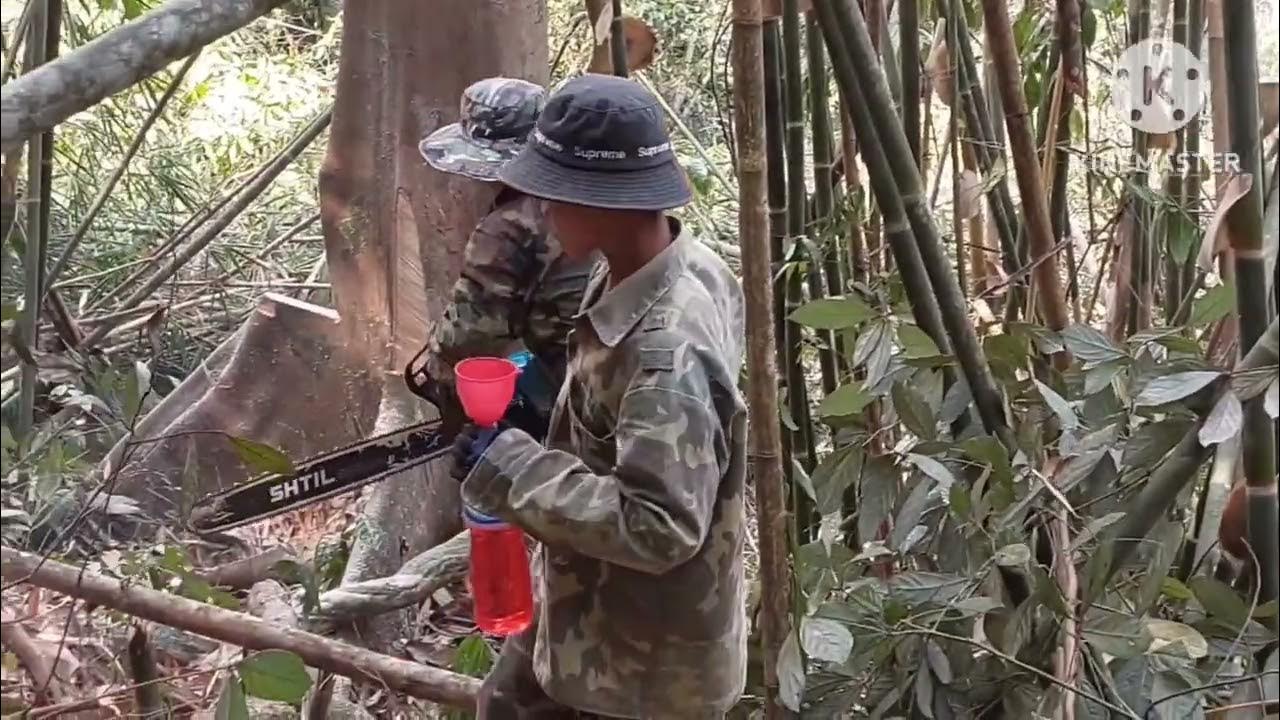 Luaj Teb NTov NToo - YouTube