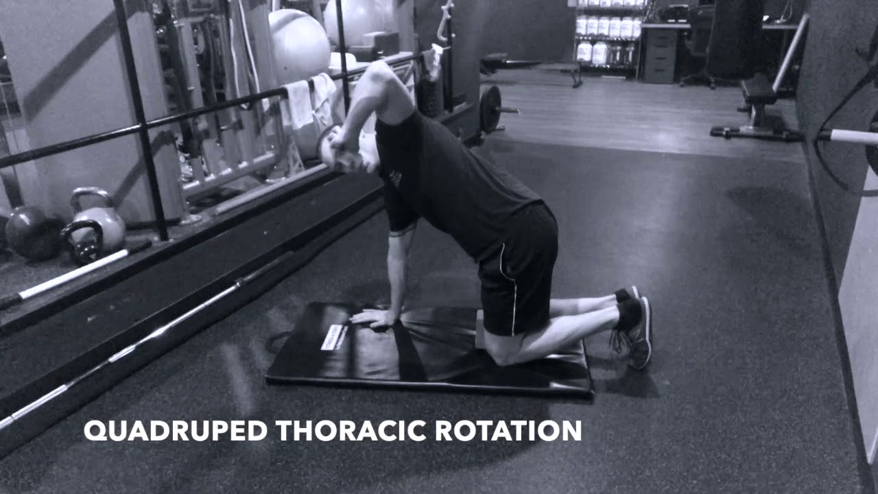 Quadruped Thoracic Rotation - Upside Strength Exercise Library - YouTube