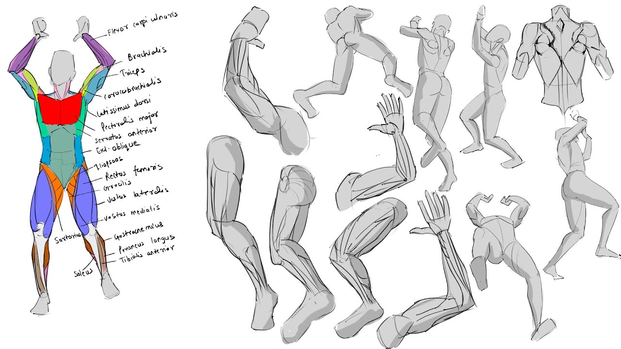 Daily Drawing Practice - YouTube