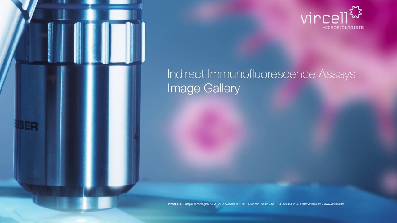 Vircell IFA image gallery - YouTube
