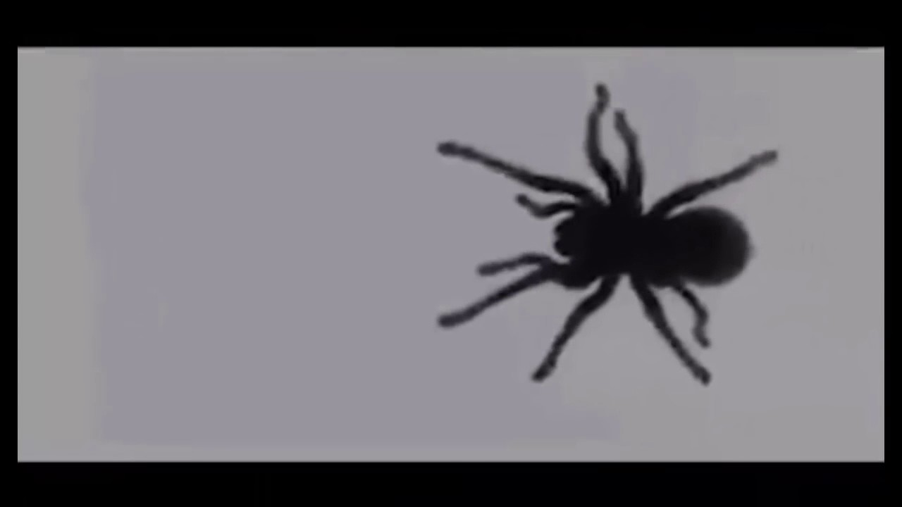 Disturbing Video [Deep Web | Strange Part of YouTube] - YouTube