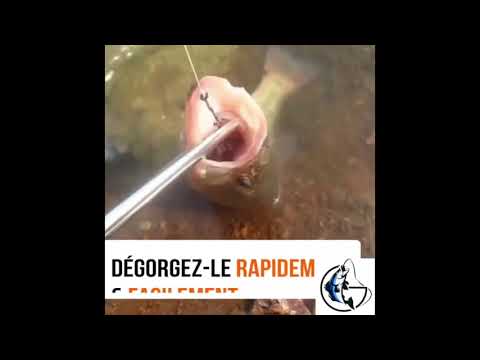 FISHREMO™ - LE DÉGORGEOIR SIMPLE & LUDIQUE - YouTube