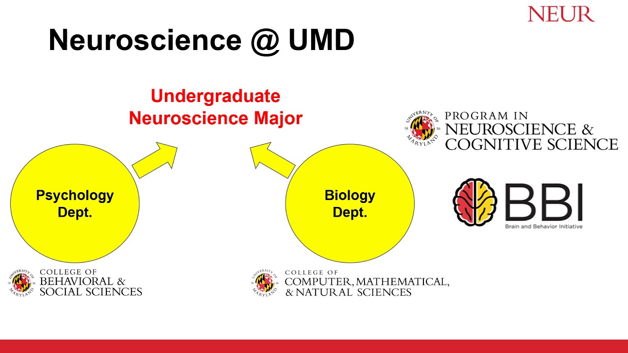 Neuroscience Major Orientation for Freshmen and Transfer Students - YouTube