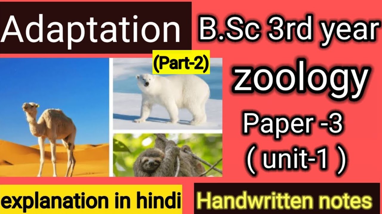 Kinds of Adaptation| Bsc 3rd year zoology| Forrsorial & Scansorial ...