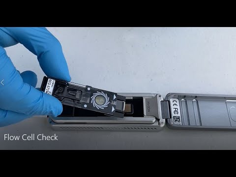 Oxford Nanopore Sequencing of the strawberry aphid- Part III Flongle ...