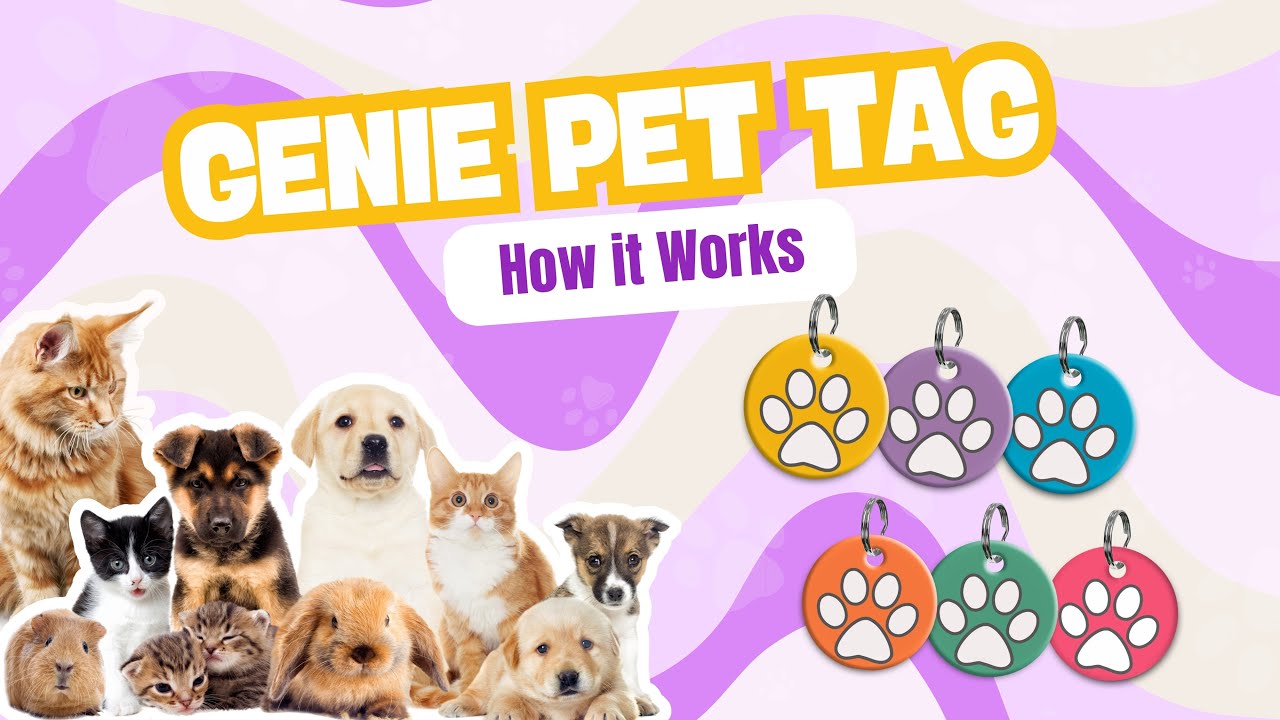 Genie Pet Tag – How It Works | Smart QR Pet Tag to Find Lost Pets ...