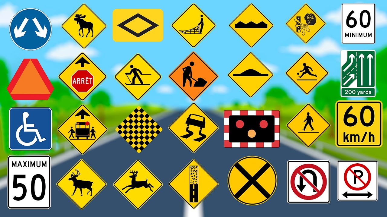Road Signs Explained: Everything You Need to Know to Drive Safely 🚗 ...