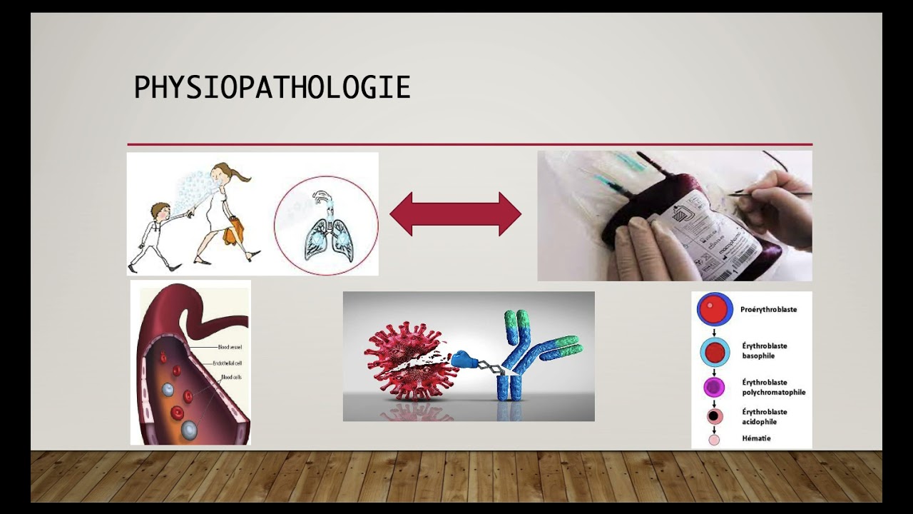 Parvovirus - La cinquième maladie - YouTube