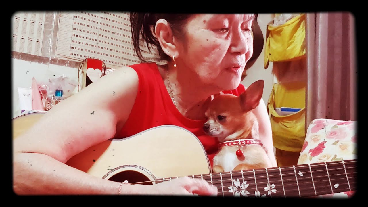 The sound of silence.Cover by Malinda.(I like Simon & Garfunkel very ...