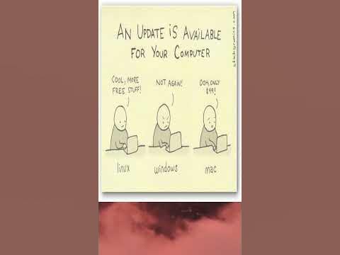 Memes for True Programmers: 247 - YouTube