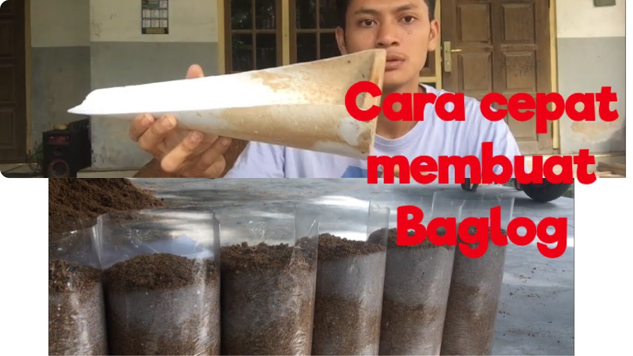 Cara cepat membuat baglog, jamur tiram budidaya - YouTube
