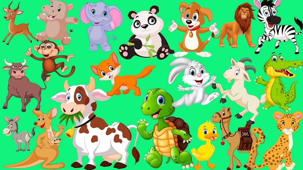 Animals sound - Learning Wild Animals Names and Sounds for kids - YouTube