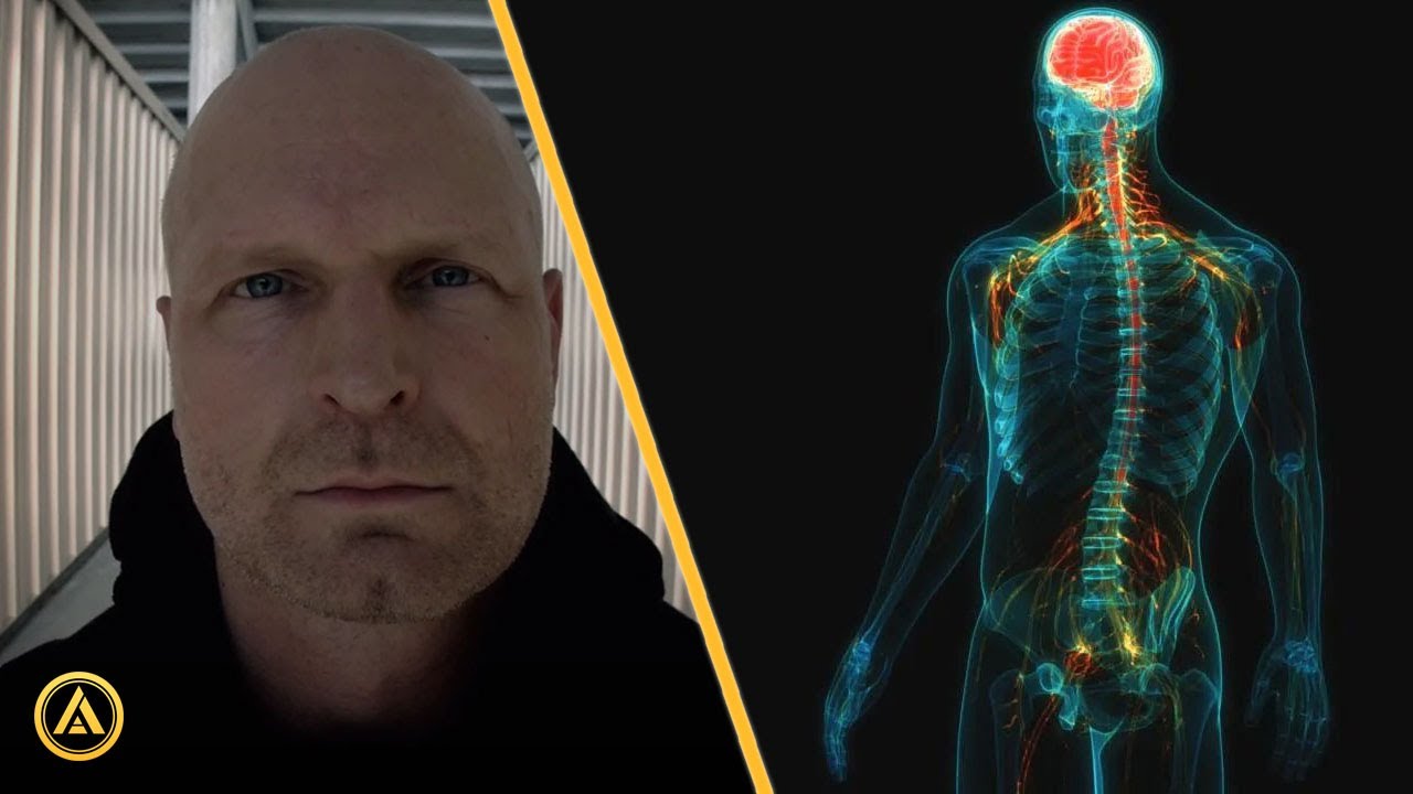 The Nervous System And Your Organs - Dr. Asa Andrew - The Dr. Asa ...