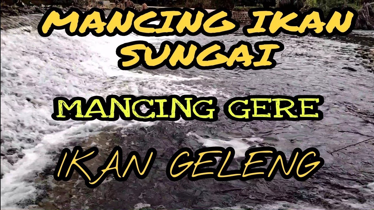 mancing ikan sungai mancing gere ikan geleng - YouTube