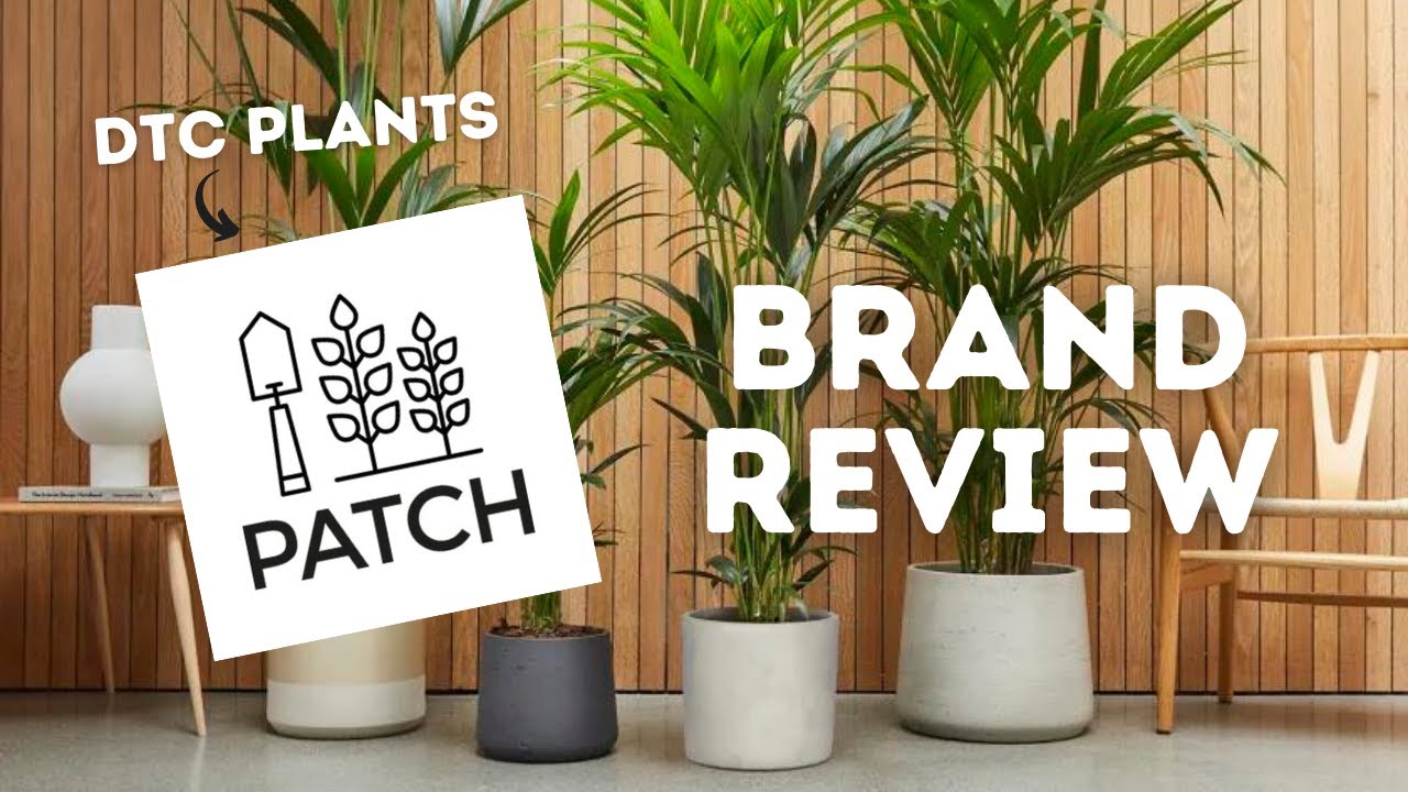 Patch Plants Review - YouTube