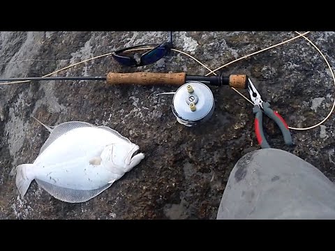 A Good Shot on the Rocks - SALTWATER FLY FISHING - Fluke / Summer ...