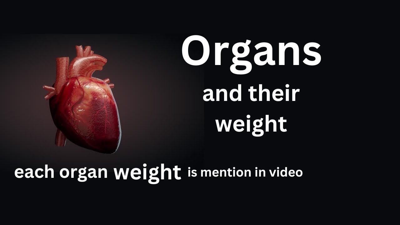 Organs and their weight in kg as per human body weight||#viralvideo # ...