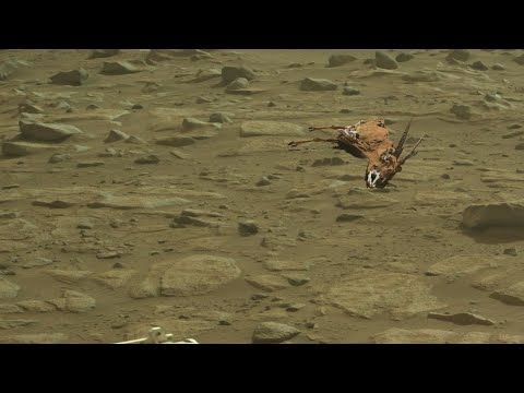 Mars in 4k : Mars Latest 4k Video By Perseverance Rover || Nasa Mars ...
