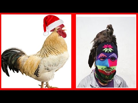 EN İLGİNÇ YILBAŞI KUTLAMALARI