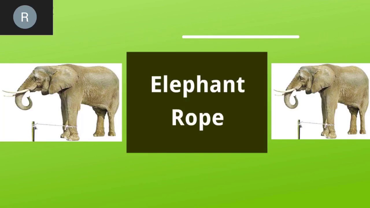 Elephant rope - YouTube