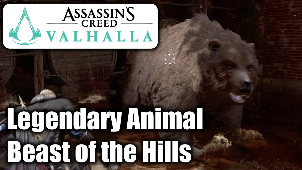 Assassin's Creed Valhalla - Legendary Animal Beast of the Hills - YouTube
