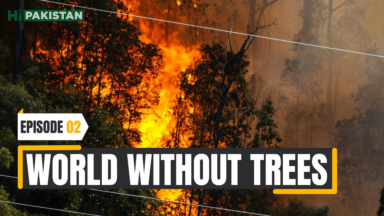 World Without Trees | Deforestation Solutions | Hi Pakistan - YouTube