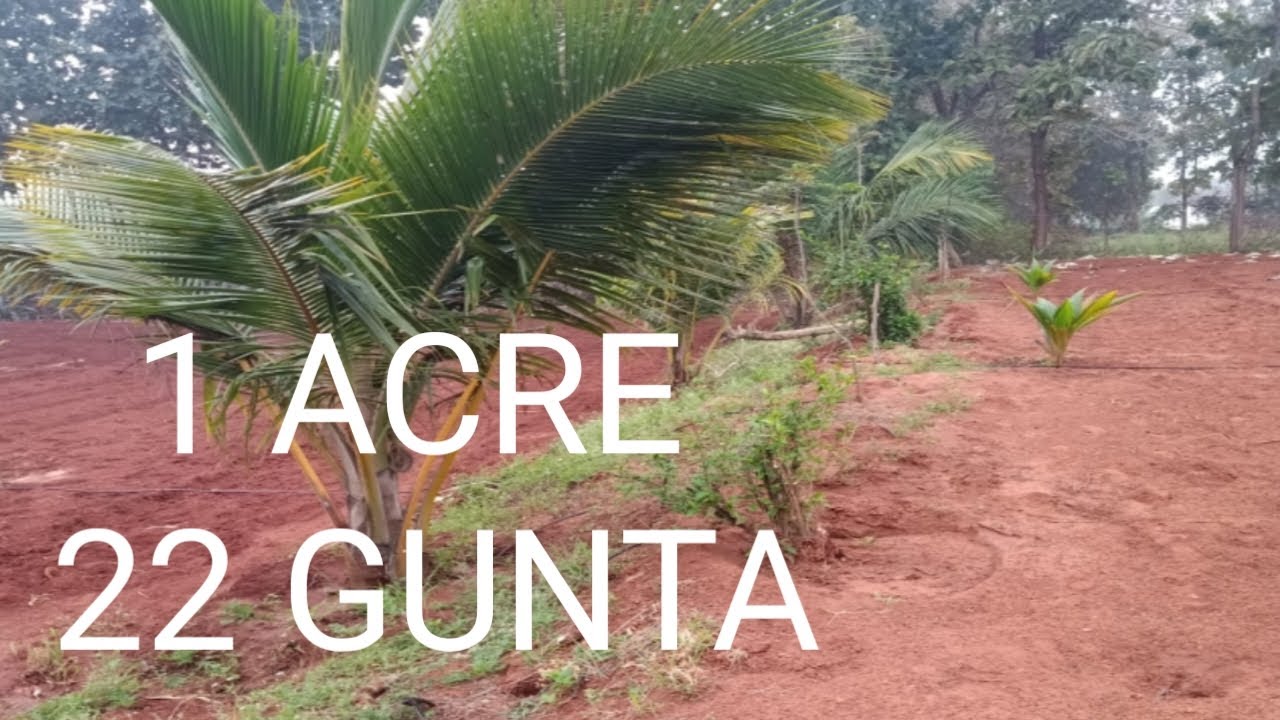 Hq) 1 ACRE 22 GUNTA | BUY ELEGANT FARM LAND's | TRANSFORM YOUR SPACE ...