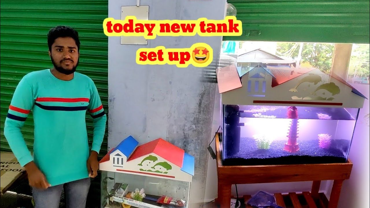 2feet new fish tank full set up &water condition method #fish #aquarium ...