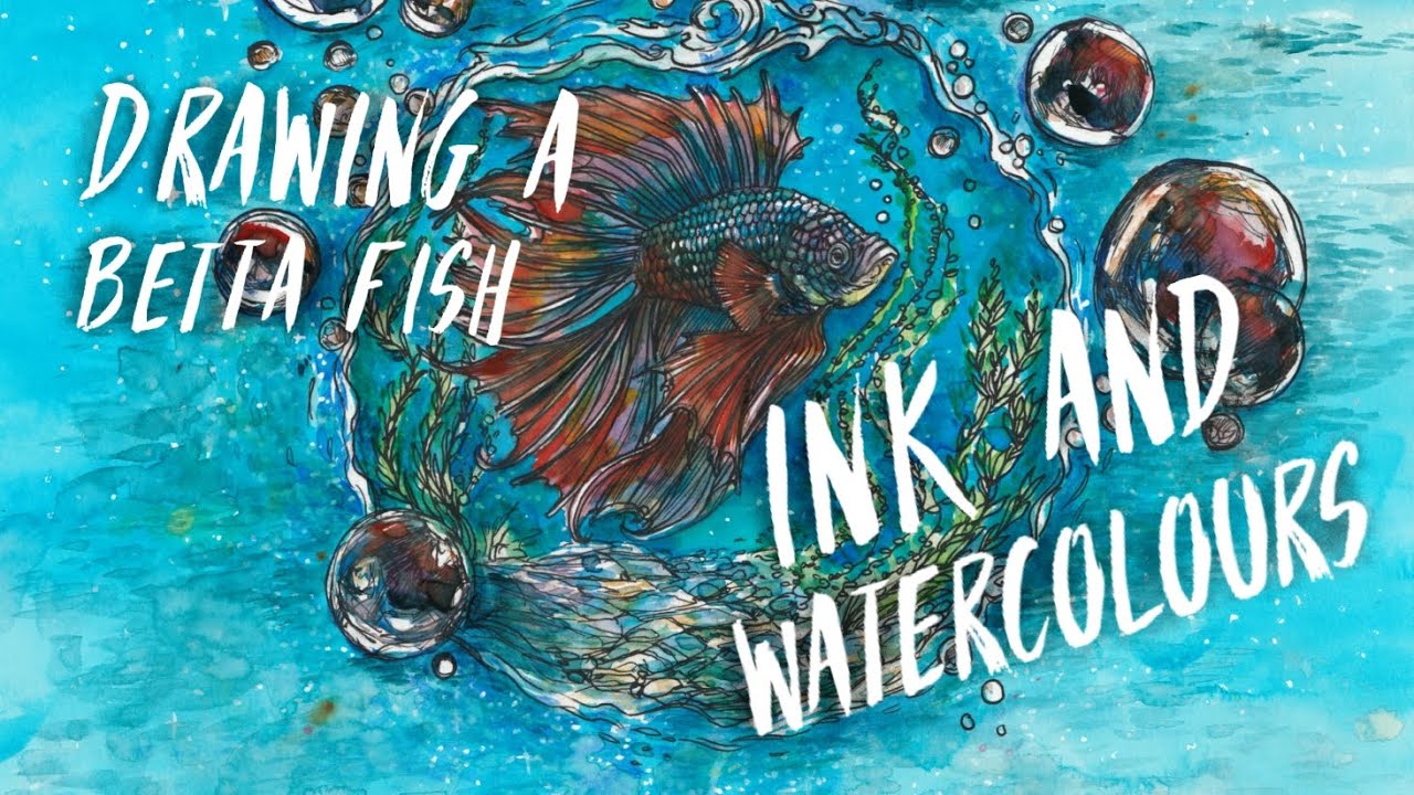 Drawing a Betta fish / Ink and watercolour - YouTube