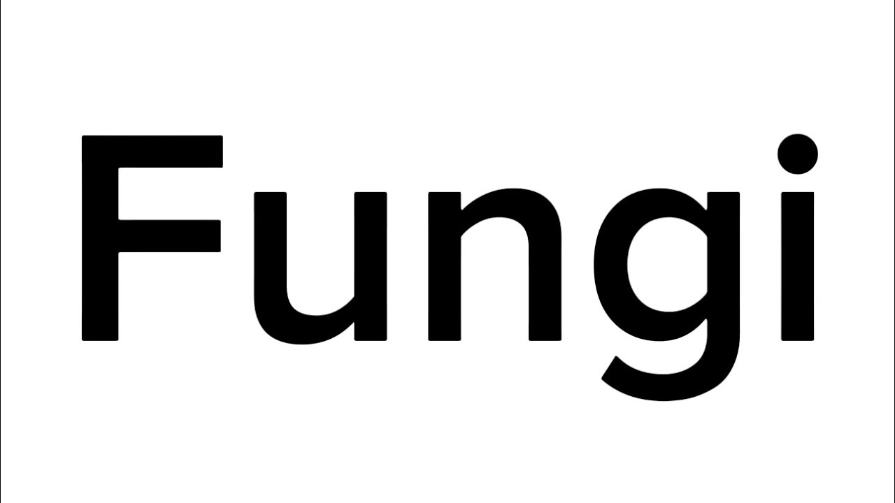 How to pronounce Fungi?(CORRRECTLY) - YouTube
