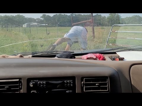 FARM TRUCK STUCK IN MUD ON THE RANCH WITH THE WHOLE FAMILY!!! GRANDPA ...