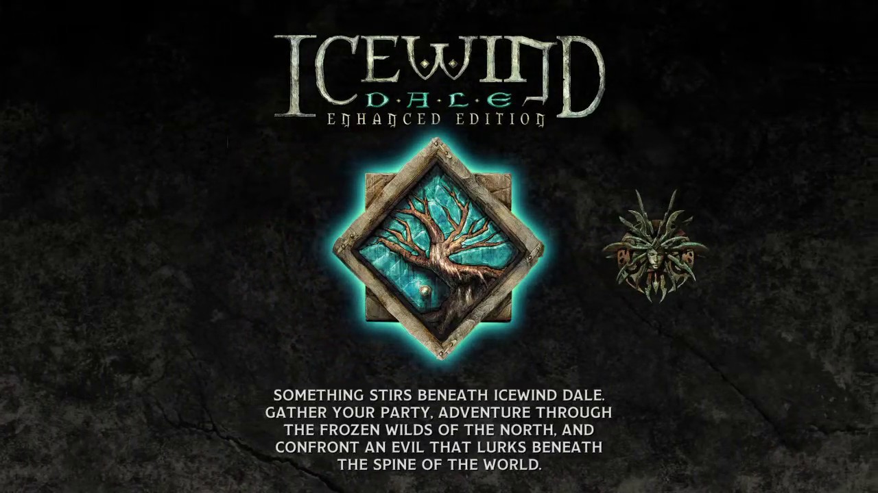 Icewind Dale PS4 Pro (LIVE) Introduction Character Creation Core Rules ...