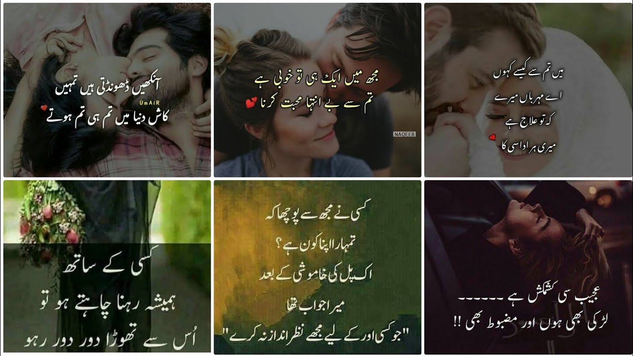 true lines about Life/true lines about love 💕/true lines status/true ...