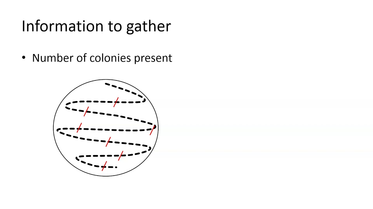 Calculating OCD - YouTube