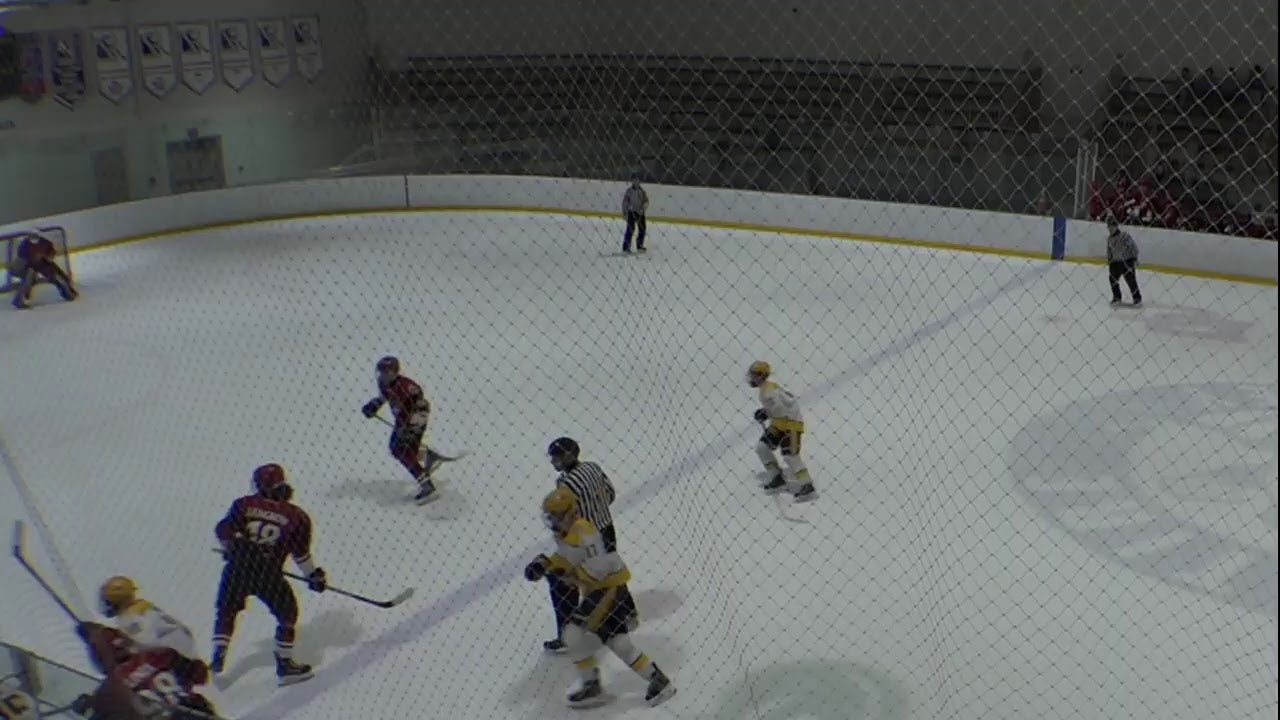 Nashville Jr. Predators AAA 15U vs. Phoenix Jr. Coyotes 1/18/2020 ...