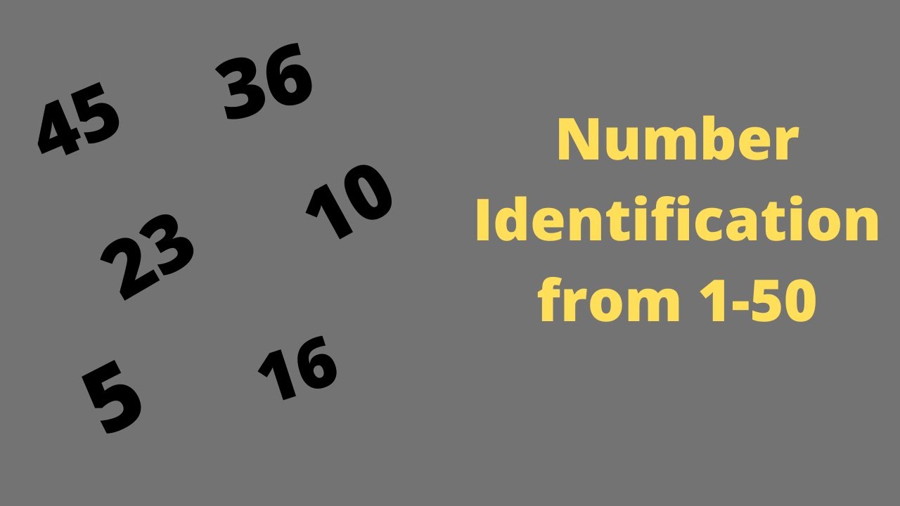 Number Identification 1-50 | Random Numbers | Number Recognition 1-50 ...