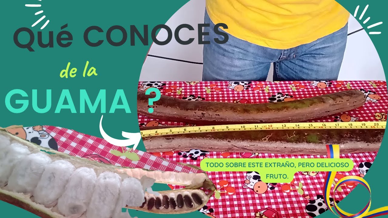 Conoces las propiedades e historias de la guama 🥱😋 - YouTube