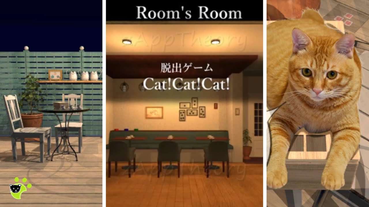 Cat!Cat!Cat! Escape Full Walkthrough 脱出ゲーム 攻略 (Room's Room) - YouTube