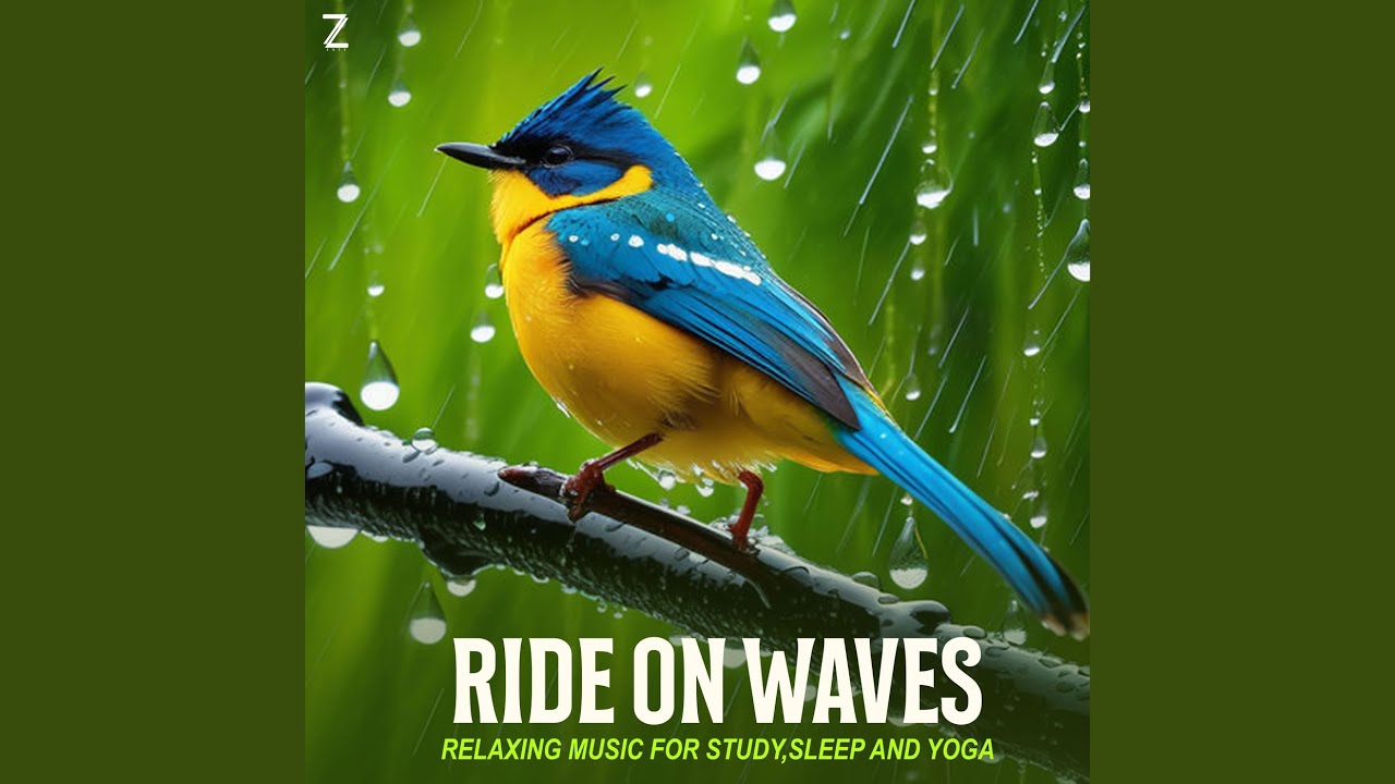 Deep Waves & Birds Chirping - Sounds Of Nature - YouTube