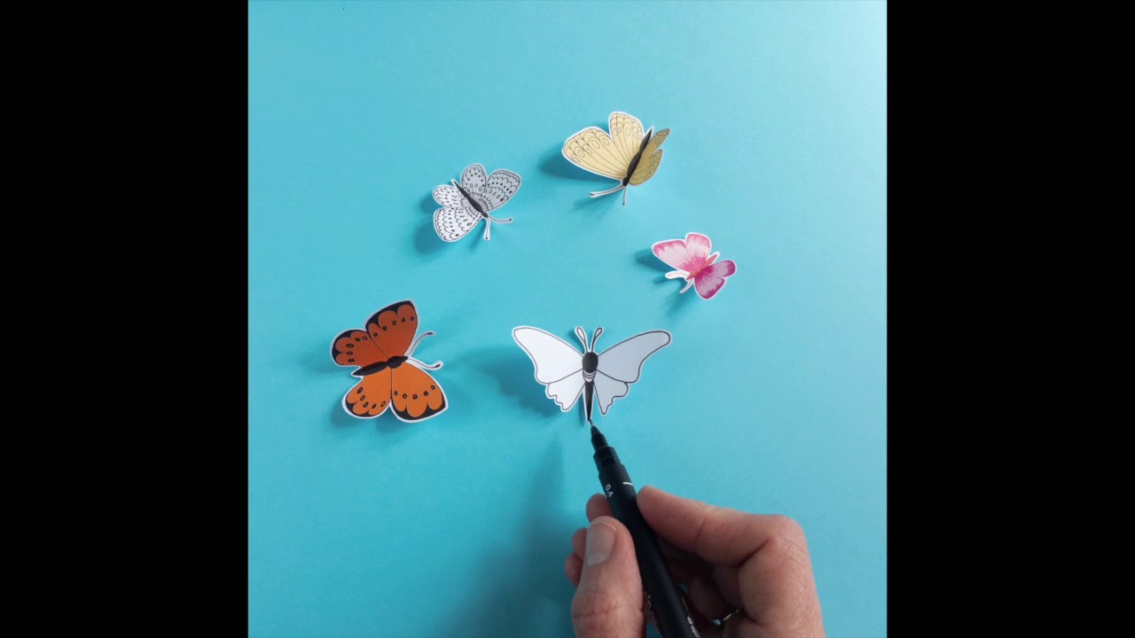 Animation Stop Motion Papillons de Papier • Animation and Paper Cut ...