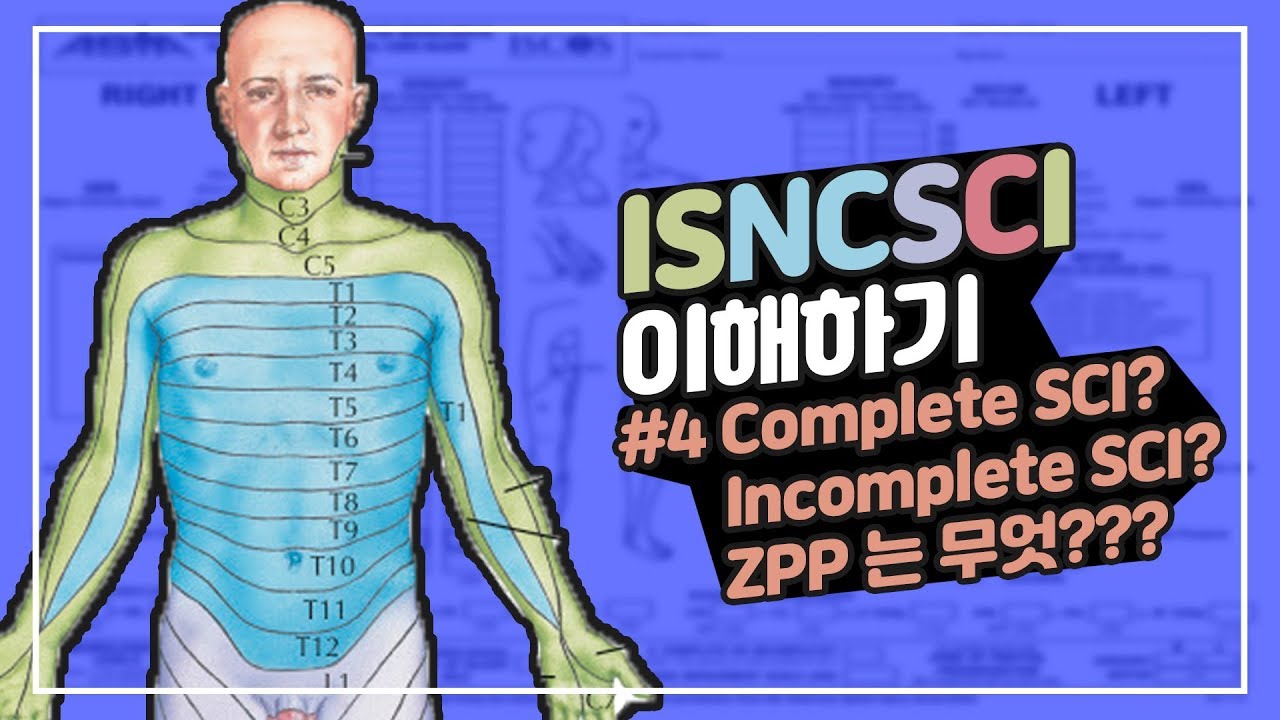 ISNCSCI 쉽게 이해하기(ASIA scale) - #4 완전손상 l 불완전손상 l ASIA level l ZPP란 무엇 ...